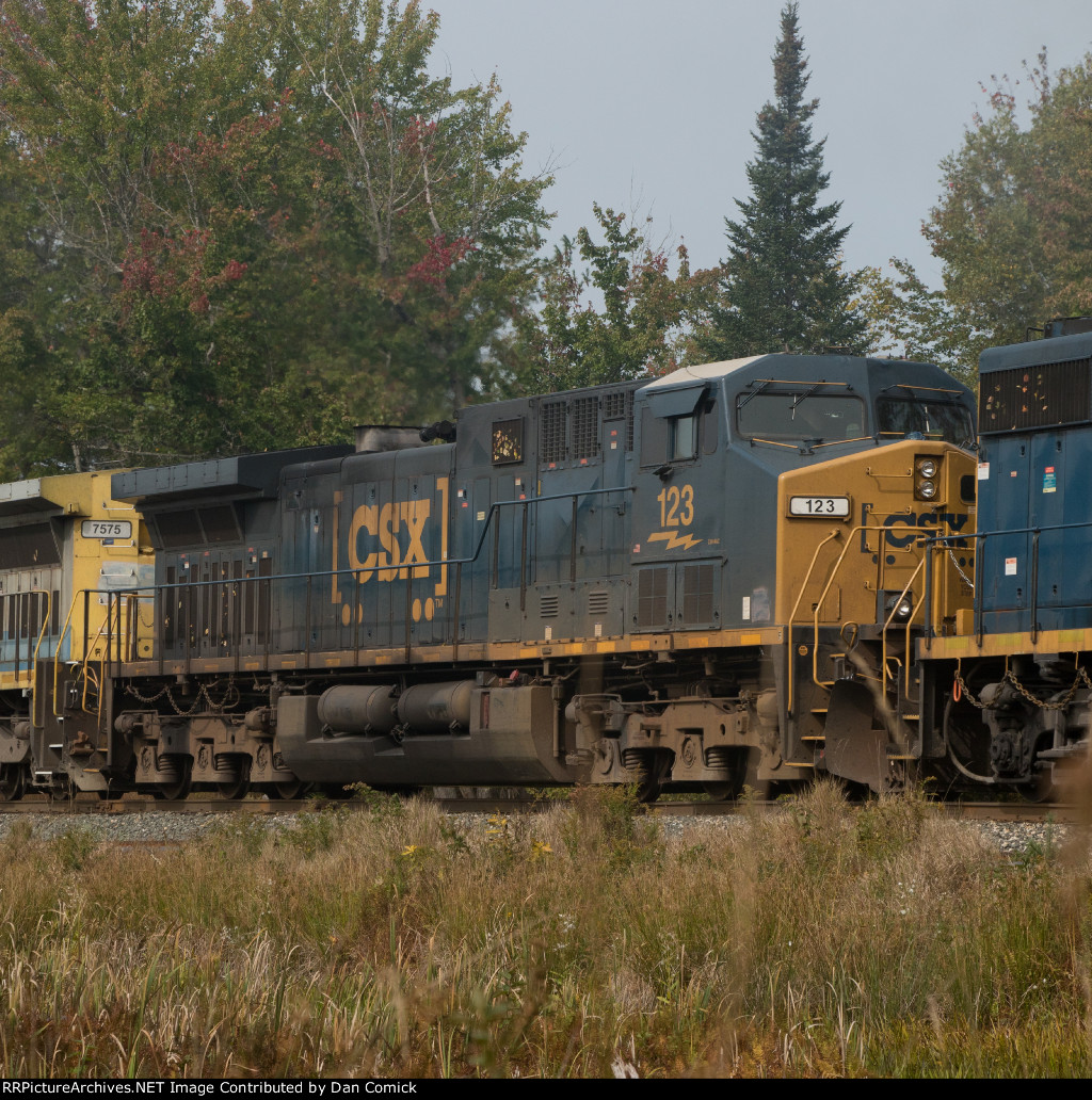 CSXT 123